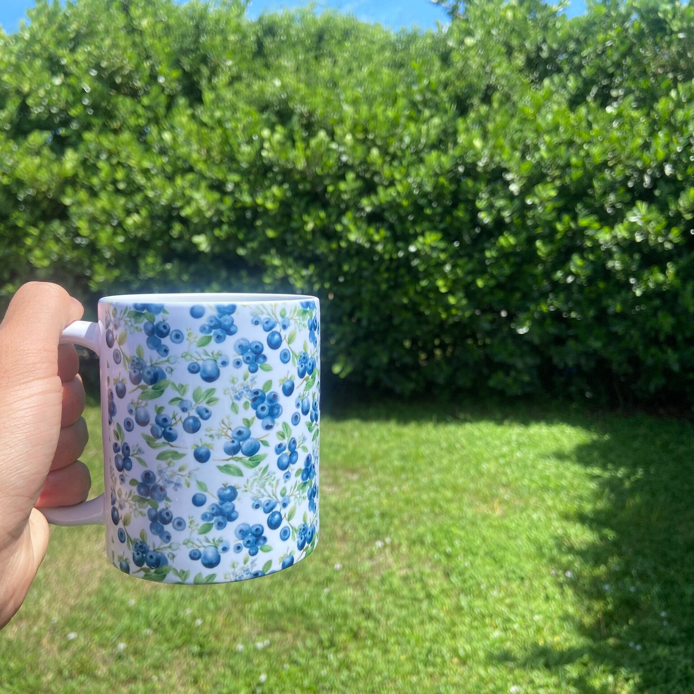 Blueberry Fruit Mug - Berries Coffee Mug - Gift for Fruit Lovers ...