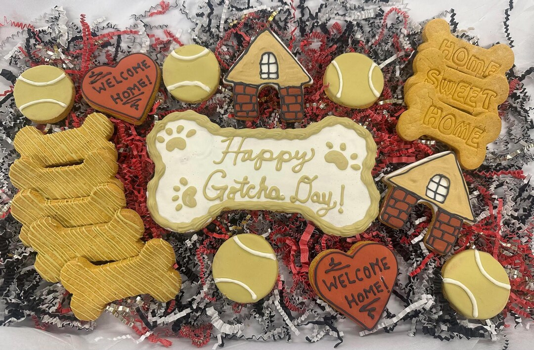 Happy Gotcha Day Dog Treat Box - Etsy