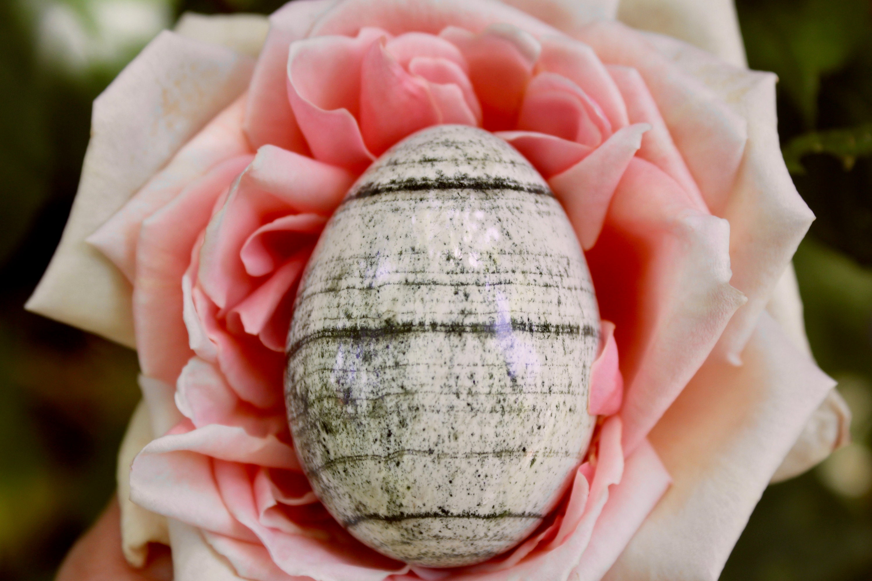 Skarns or Tactites Yoni Egg Medium Size Striped White and - Etsy