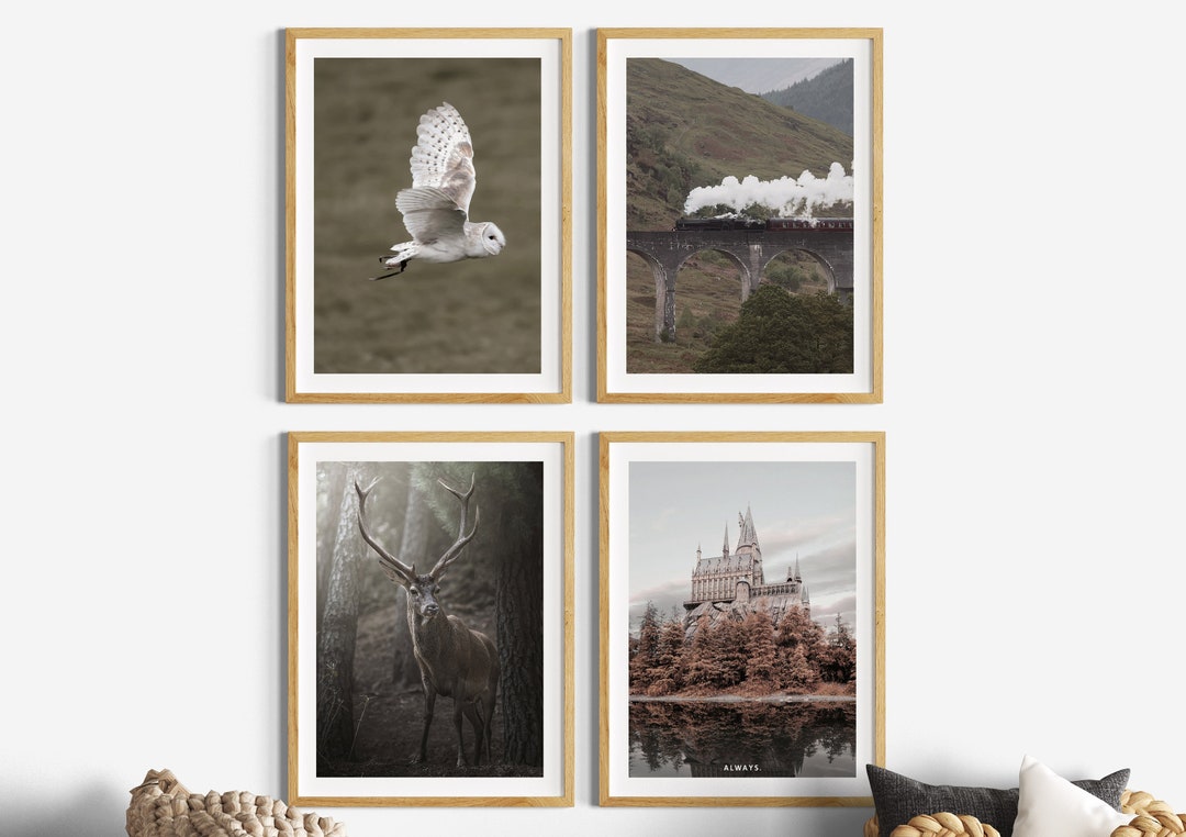 Living Room Decoration Pictures, Potter Poster Set of 4, Picture Wall ...
