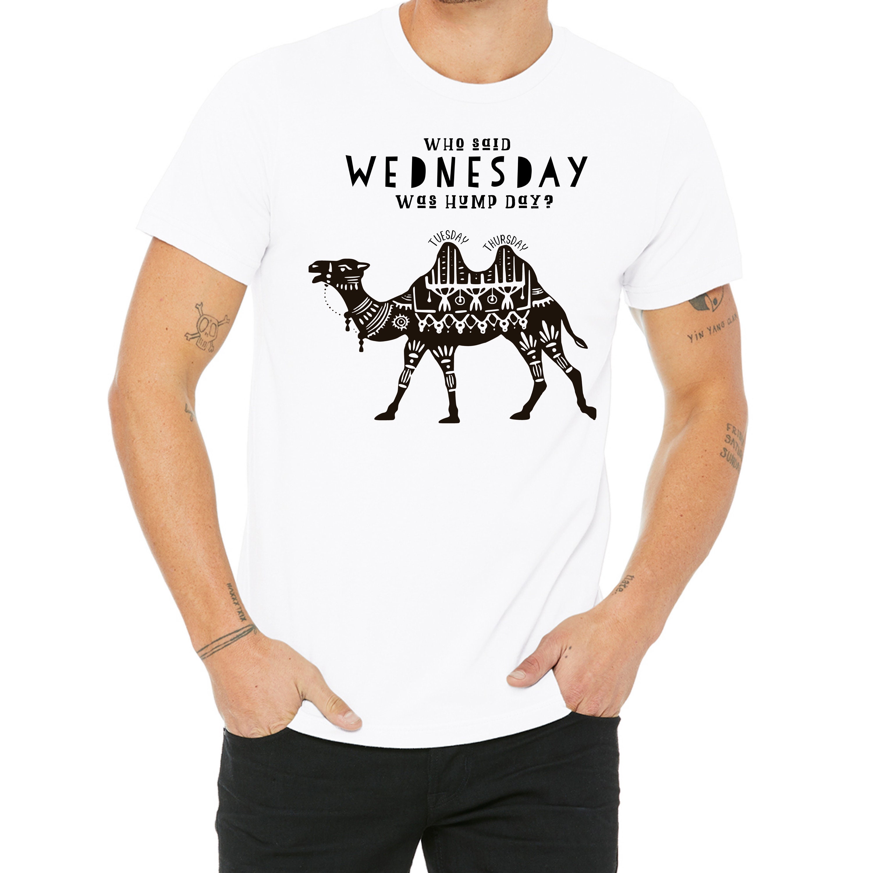 Grumpy Cat Hump Day Camel Meme