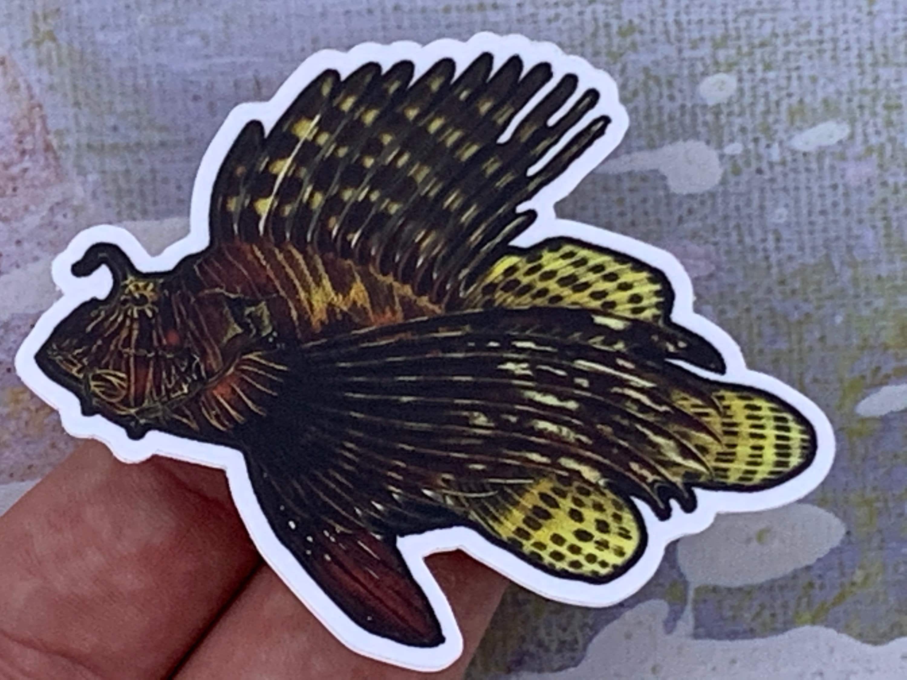 Red Lionfish (pterois Volitans) Sticker - Etsy UK