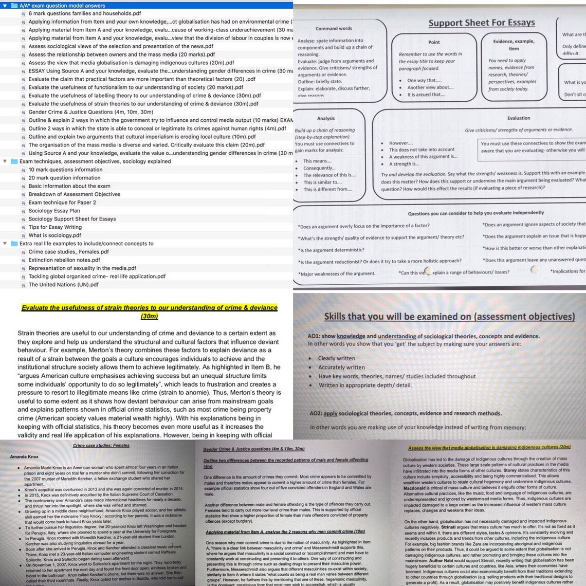 Sociology A Level Revision Notes and Essays A - Etsy