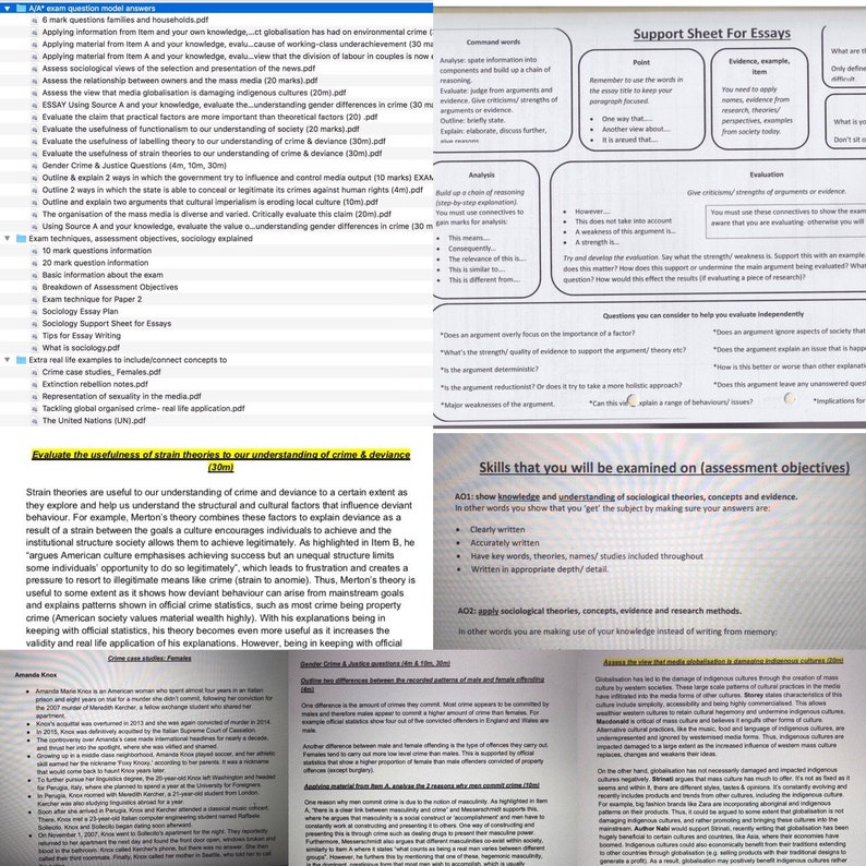 Sociology A Level Revision Notes and Essays A* - Etsy