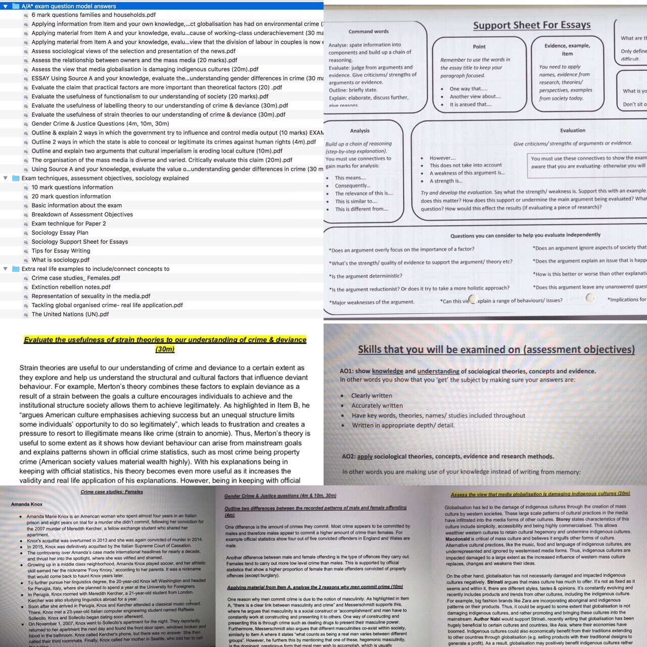Sociology A Level Revision Notes and Essays A* - Etsy