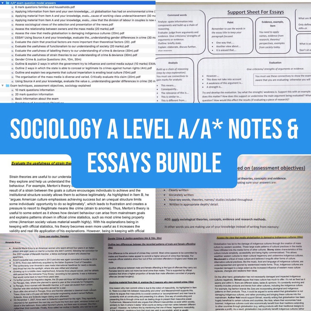Sociology A Level Revision Notes and Essays A* - Etsy