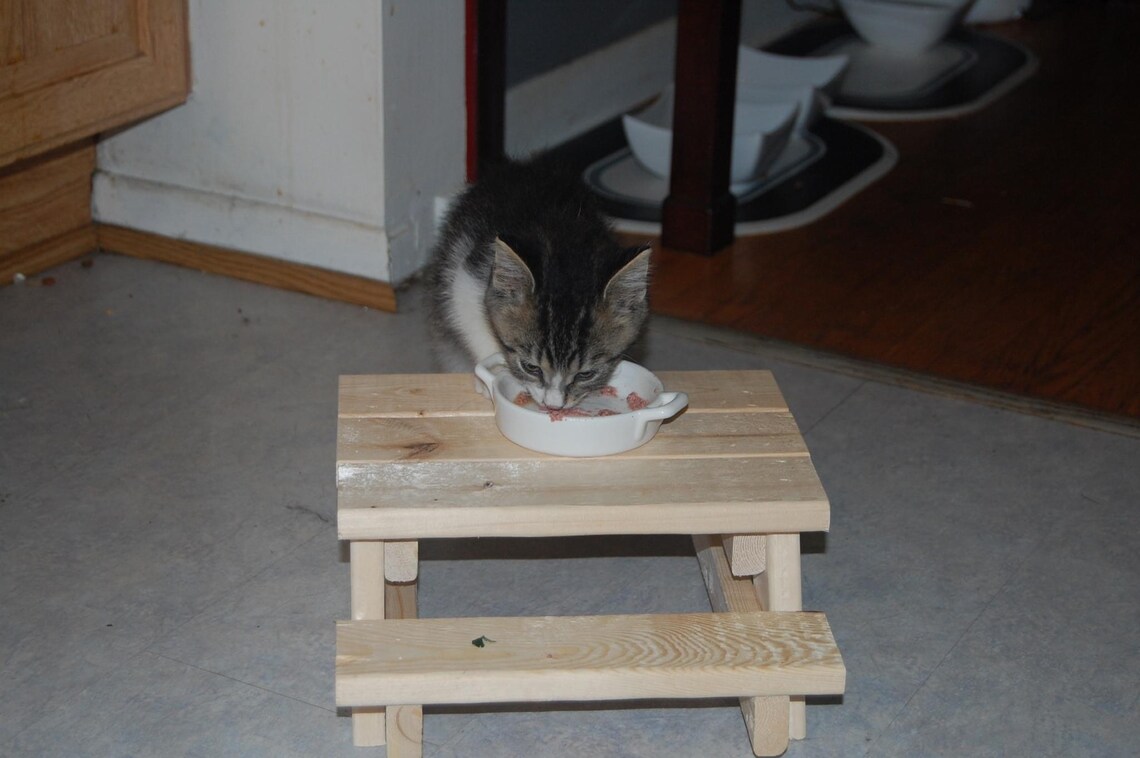 Mini Picnic Table for Cats Small Dogs and Other Small - Etsy