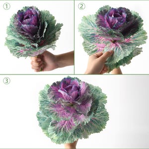 Faux Cabbage Decor: Realistic Artificial Vegetable Plants (2 PCS) - Etsy