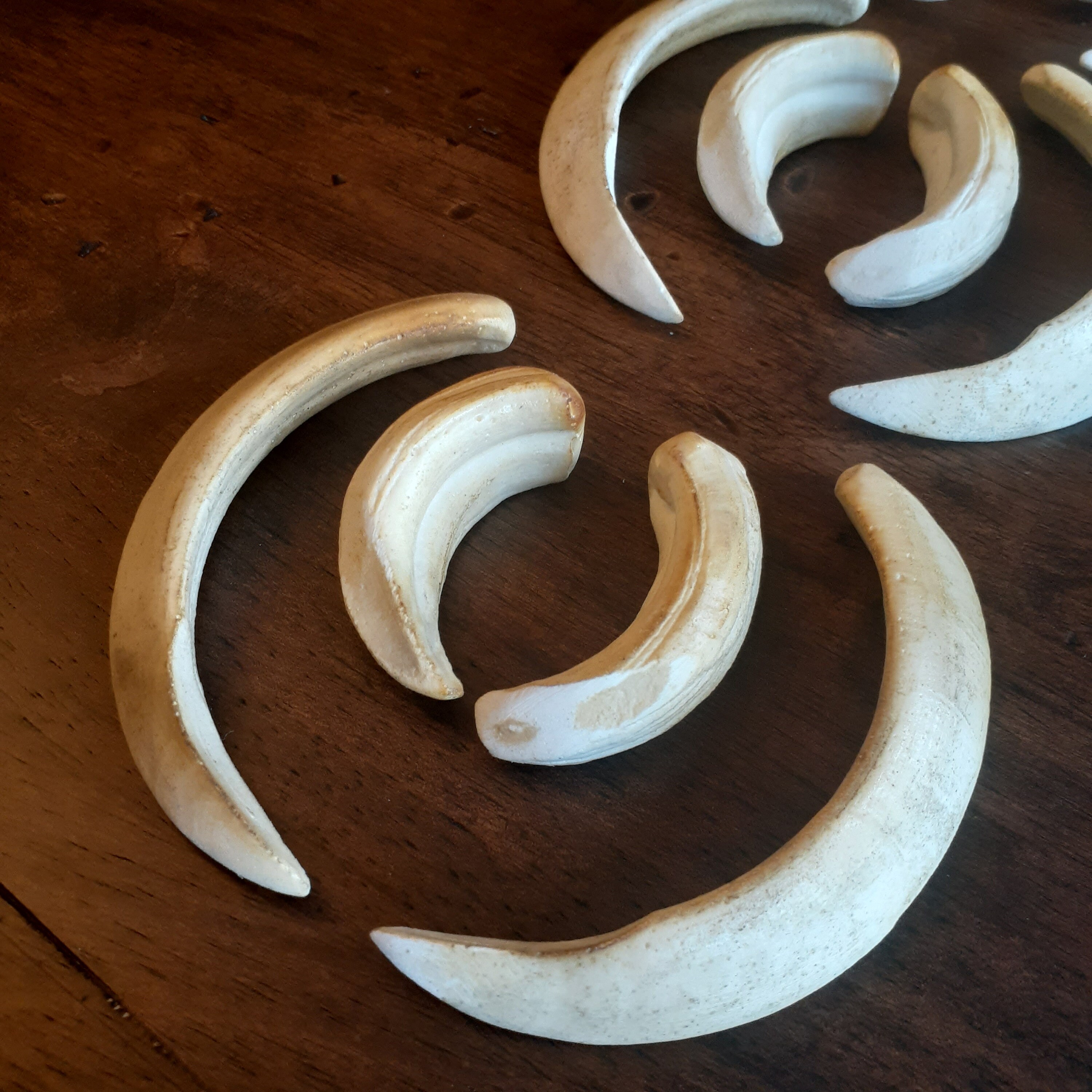 Resin Boar/ Pig/ Hog Tusks Set of 4 Man-made - Etsy