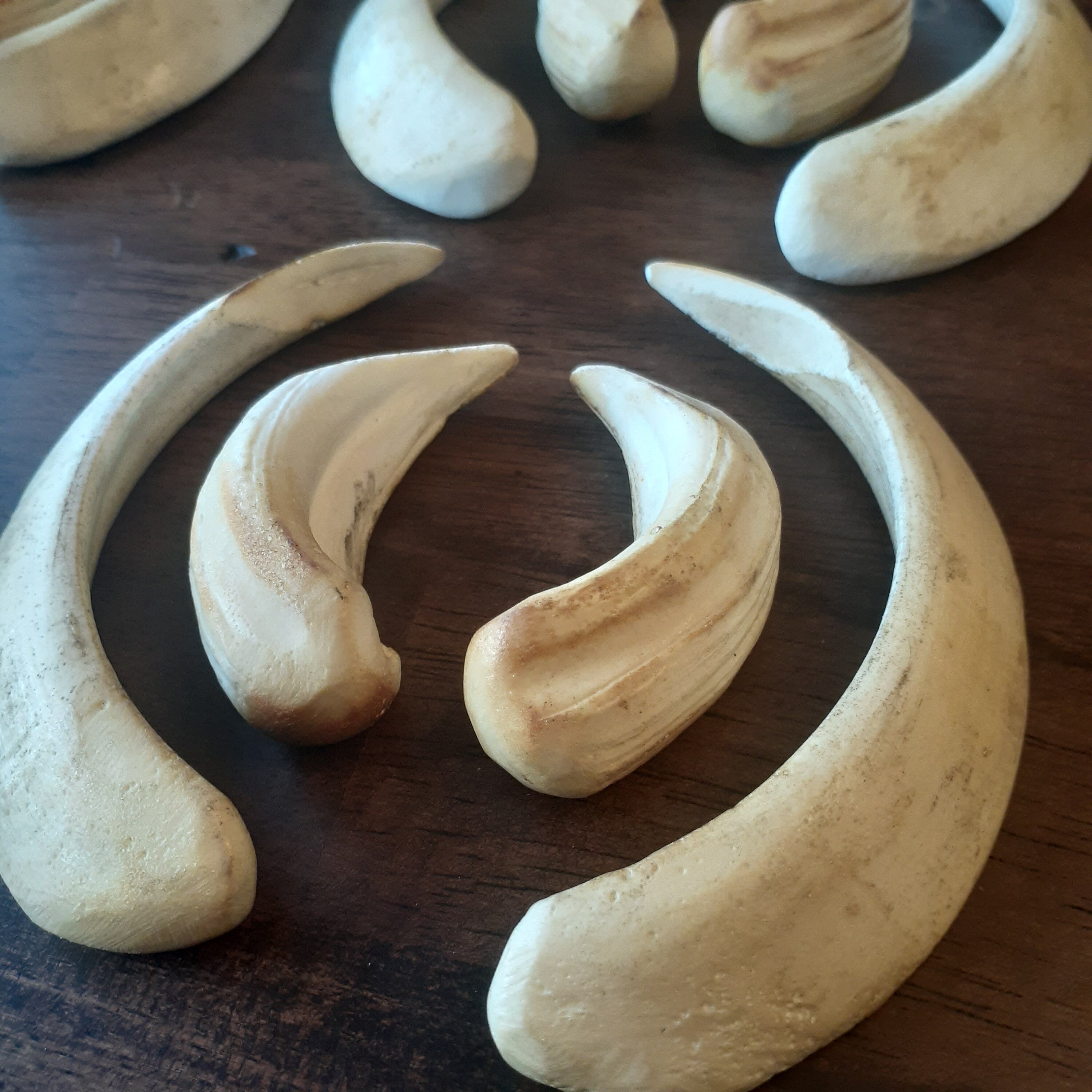 Resin Boar/ Pig/ Hog Tusks Set of 4 Man-made - Etsy