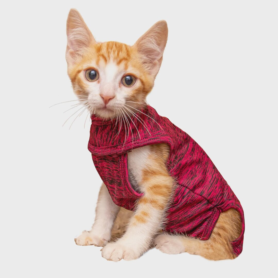 Cat Medical Suit / Cat Medical Vest / Cat Recovery Vest / Post-surgery ...