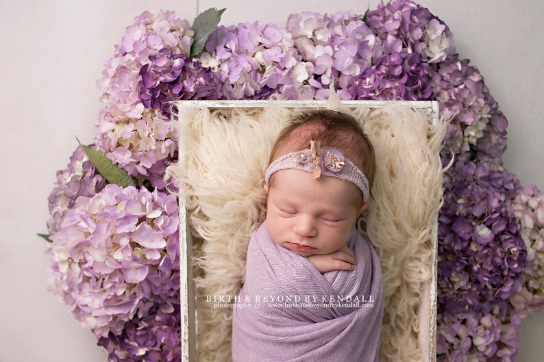 Purple Hydrangeas Newborn Digital Backdrops Lot 5 Newborn - Etsy