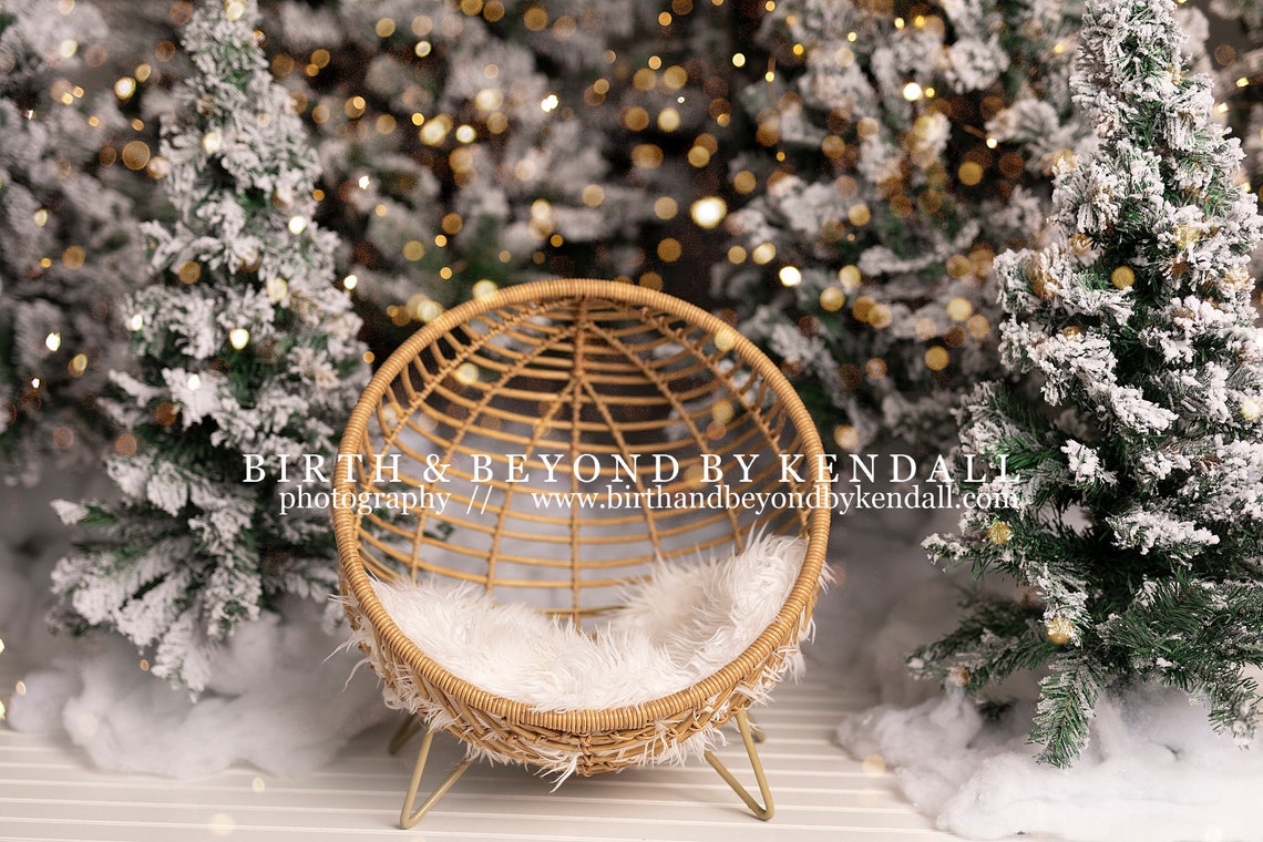 Christmas Newborn Digital Backdrops 3 Winter Baby Backdrop, Christmas ...