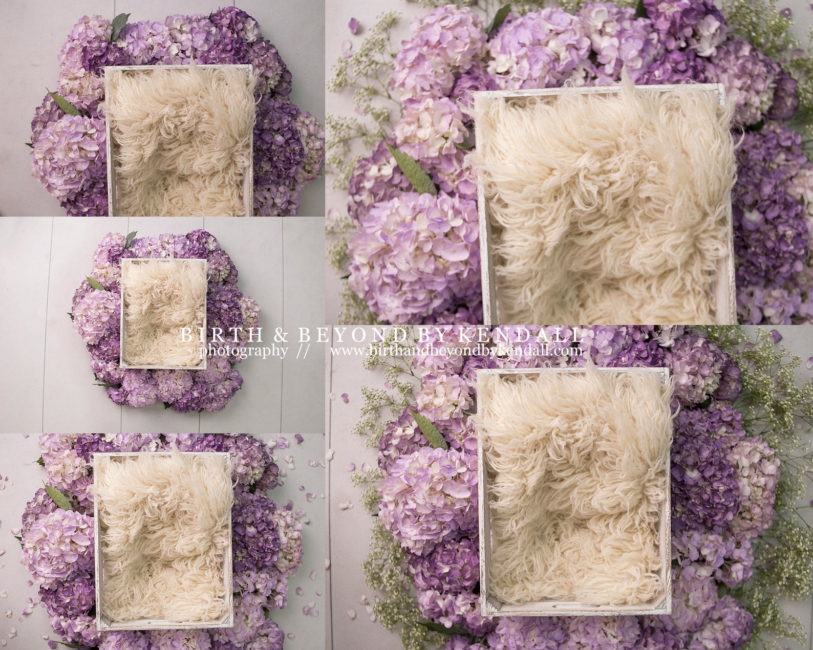 Purple Hydrangeas Newborn Digital Backdrops Lot 5 Newborn - Etsy