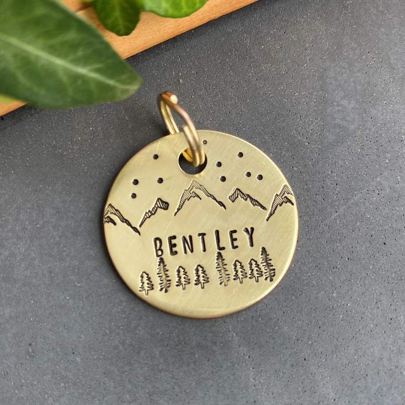 Unique Dog Tag - Etsy