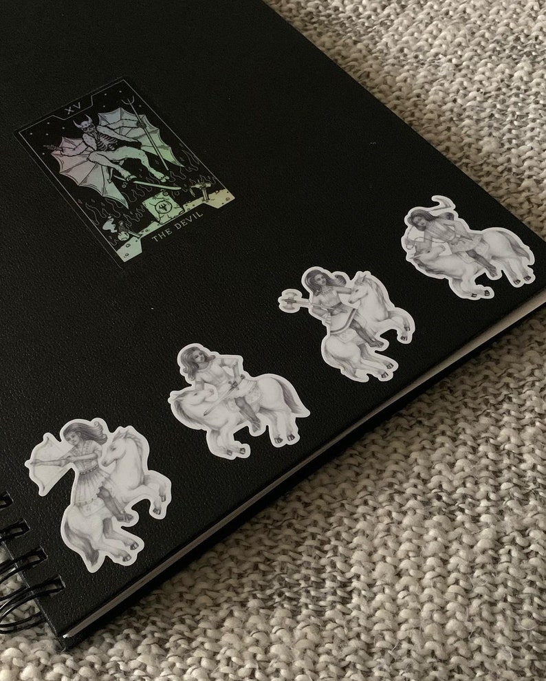 Knights Sticker Pack, 4 Set of Vinyl Die Cut Stickers Woman Knights ...