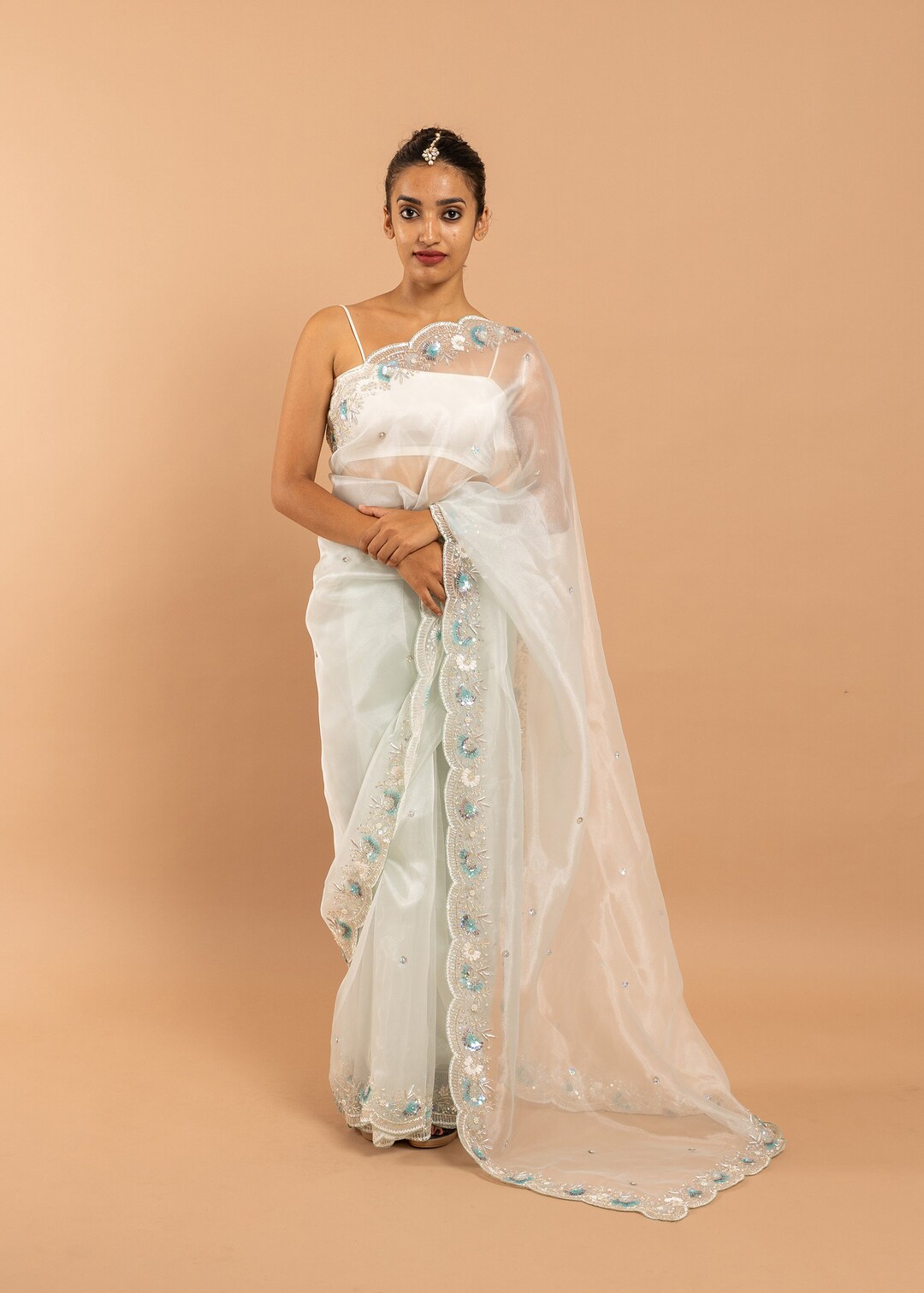 Organza Saree With Silk Thread and Sequins Handwork and Beads ...