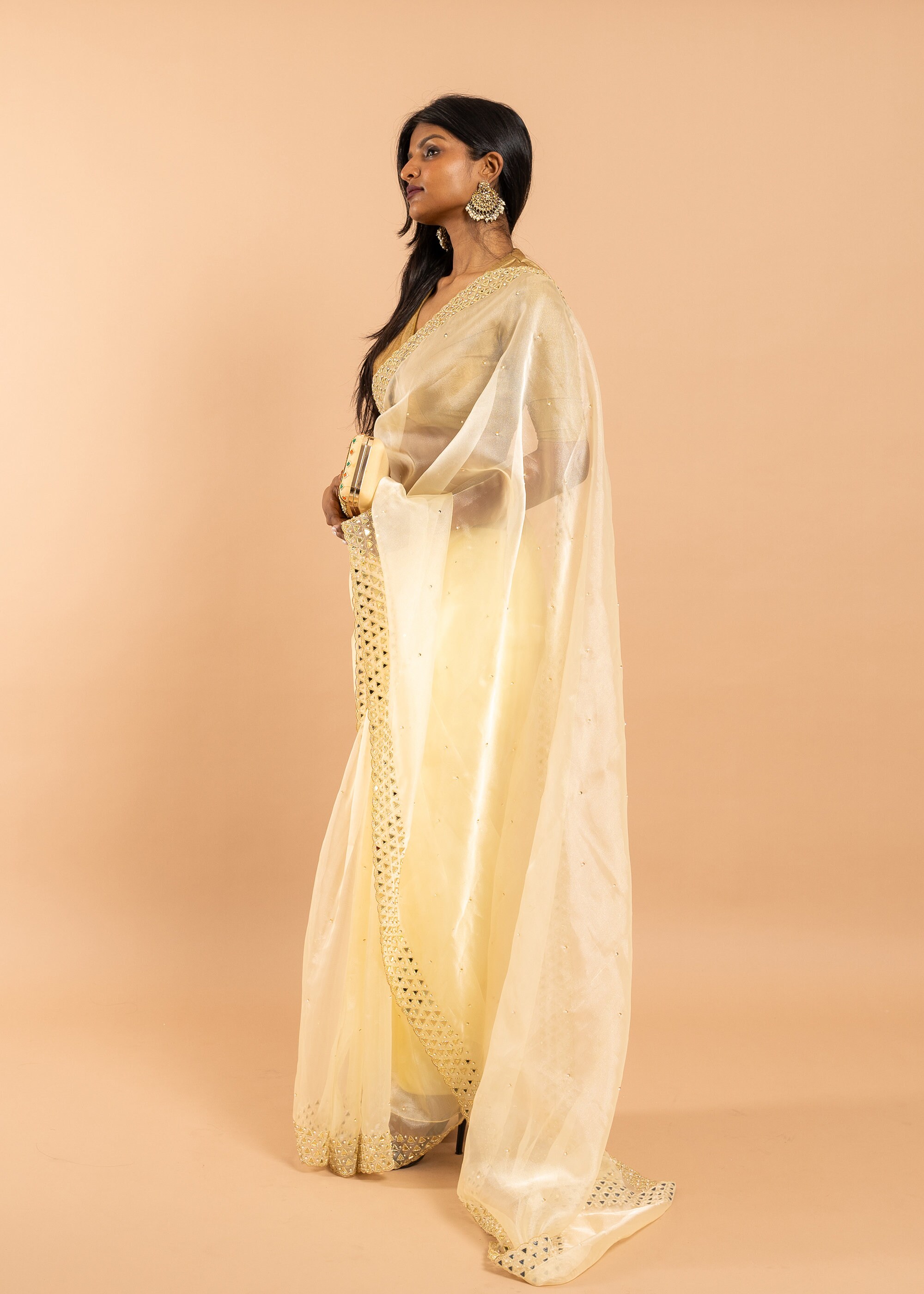 Gold Organza Saree With Gold Glasswork Thread and Zari Handwork and ...