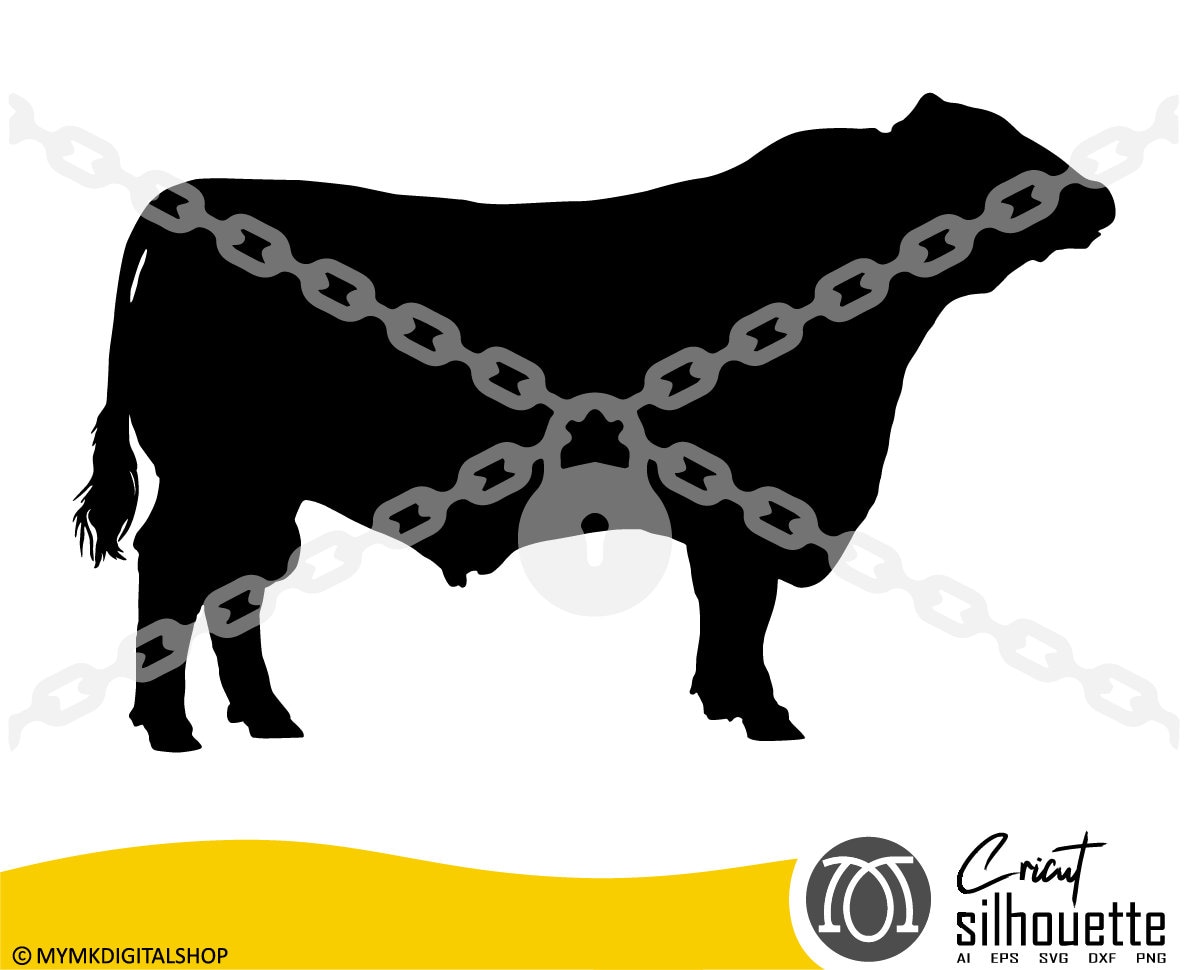 Show Steer Svg Cow Svg Bull Svg Livestock Svg Svg Png - Etsy