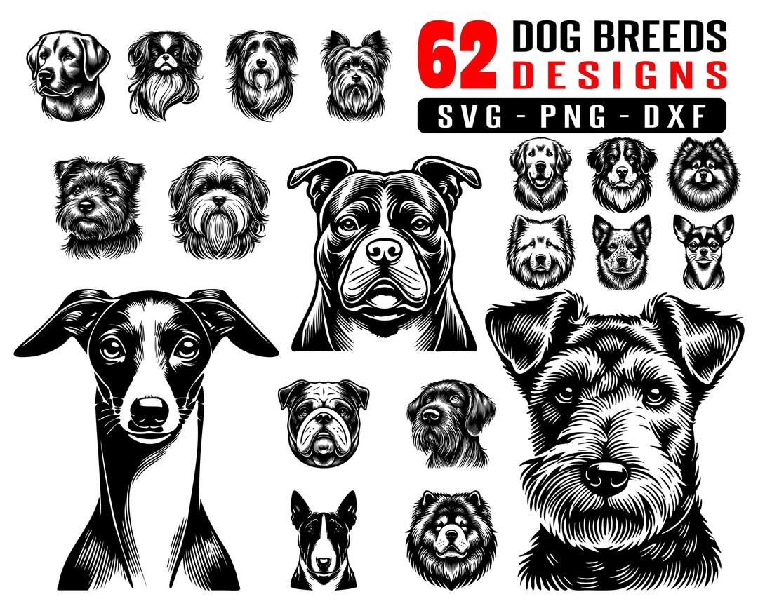 62 Dog Breeds Head Designs Svg, Bulldog Svg, Dog Svg, Bundle Svg, Svg ...