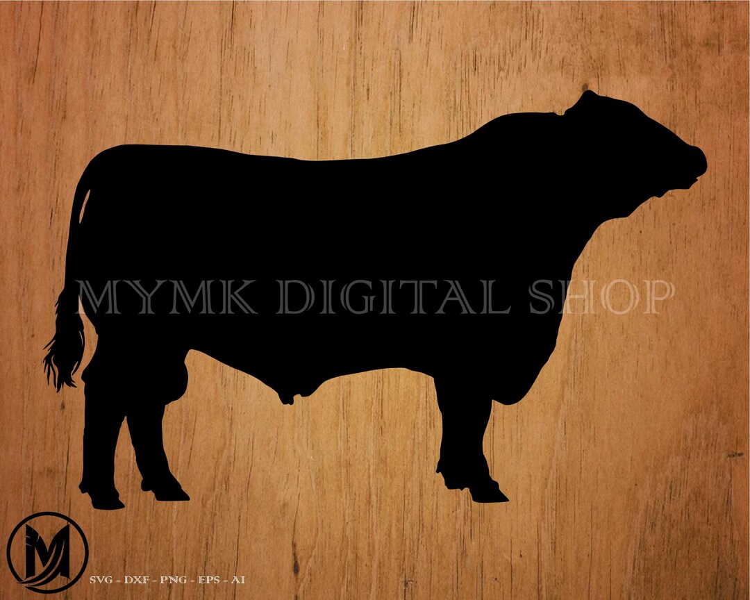 Show Steer Svg, Cow Svg, Bull Svg, Livestock Svg, Svg, Png, Cricut, Dxf ...