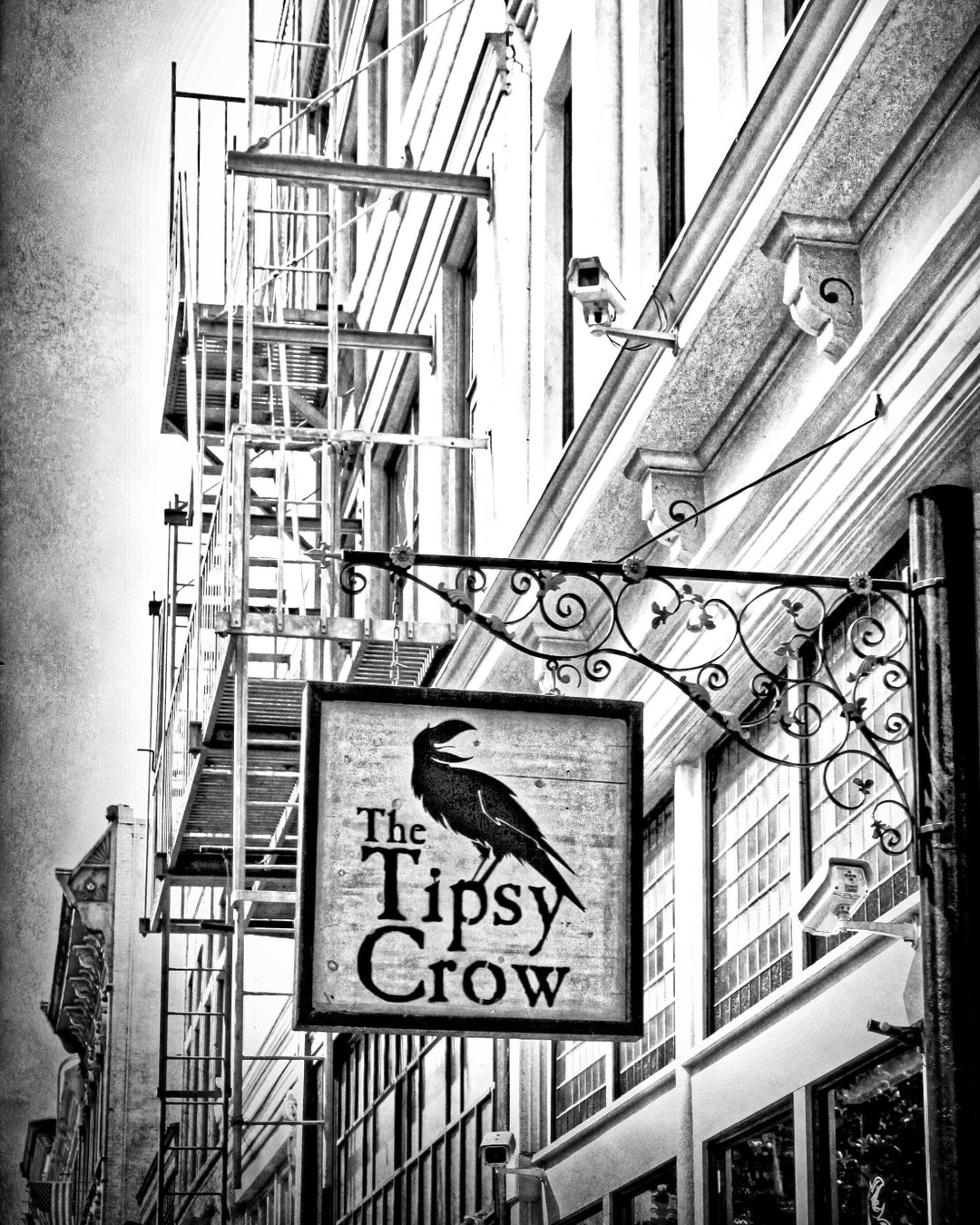 The Tipsy Crow - Etsy