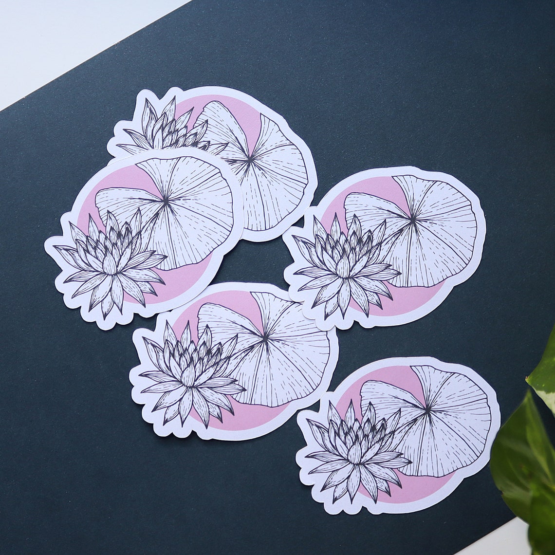 Water Lily Floral Sticker Design 2 Journal Sticker Laptop | Etsy