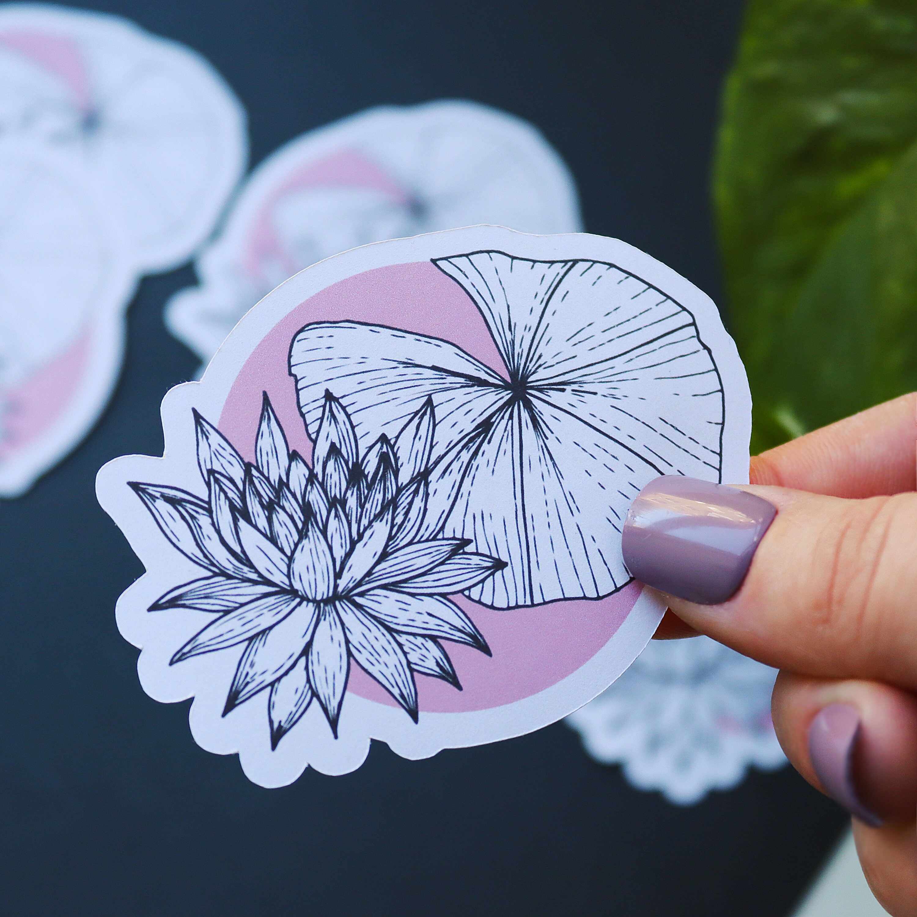 Water Lily Floral Sticker Design 2 Journal Sticker Laptop | Etsy