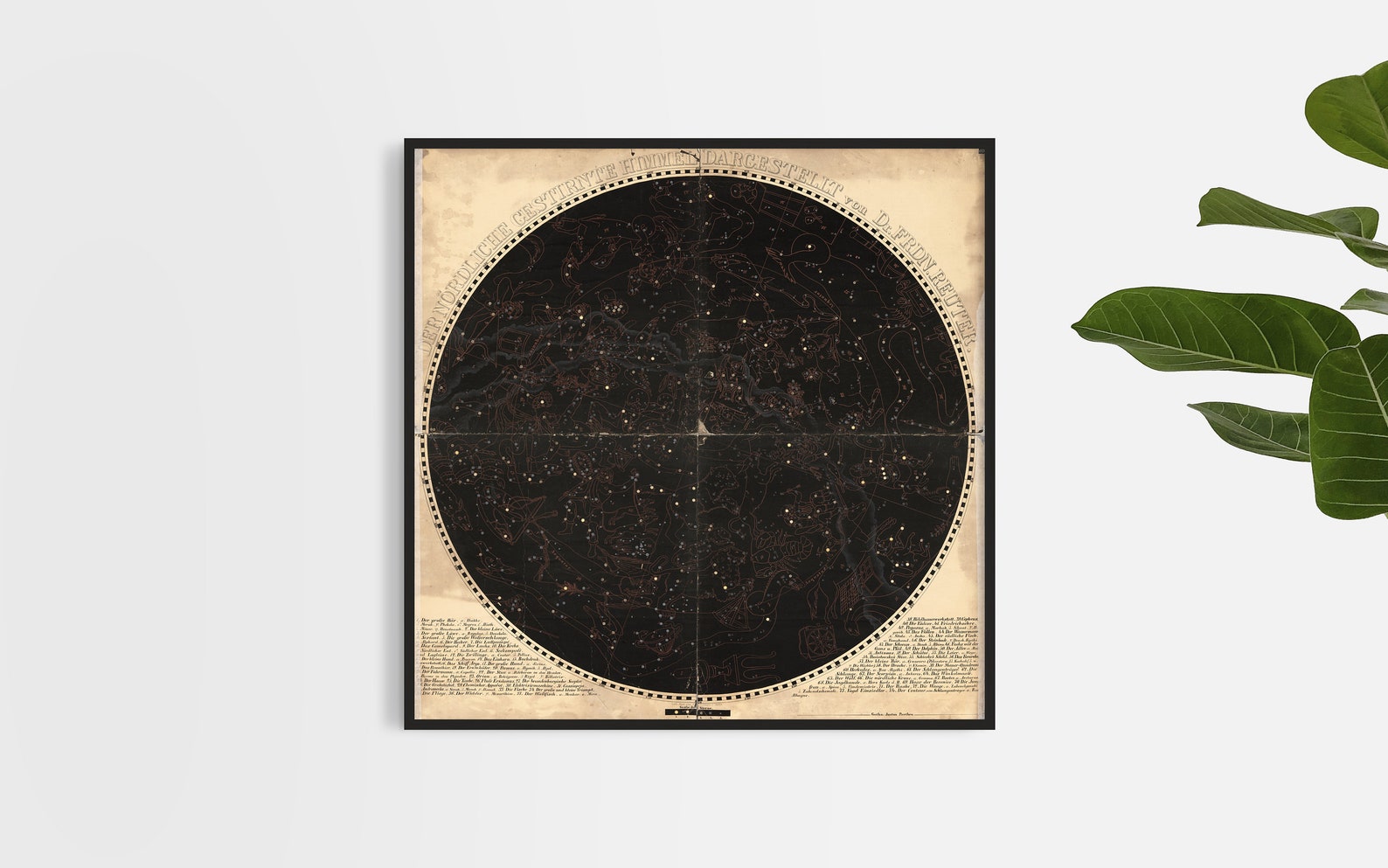 Constellations Map of the Northern Star 1850 Vintage Constellations Map ...