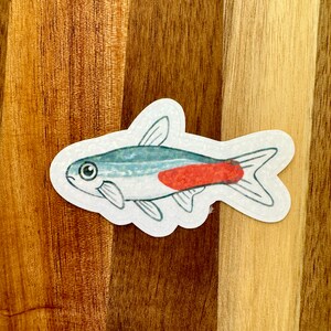 HOLOGRAPHIC Neon Tetra Fish Sticker 2.75” - Etsy