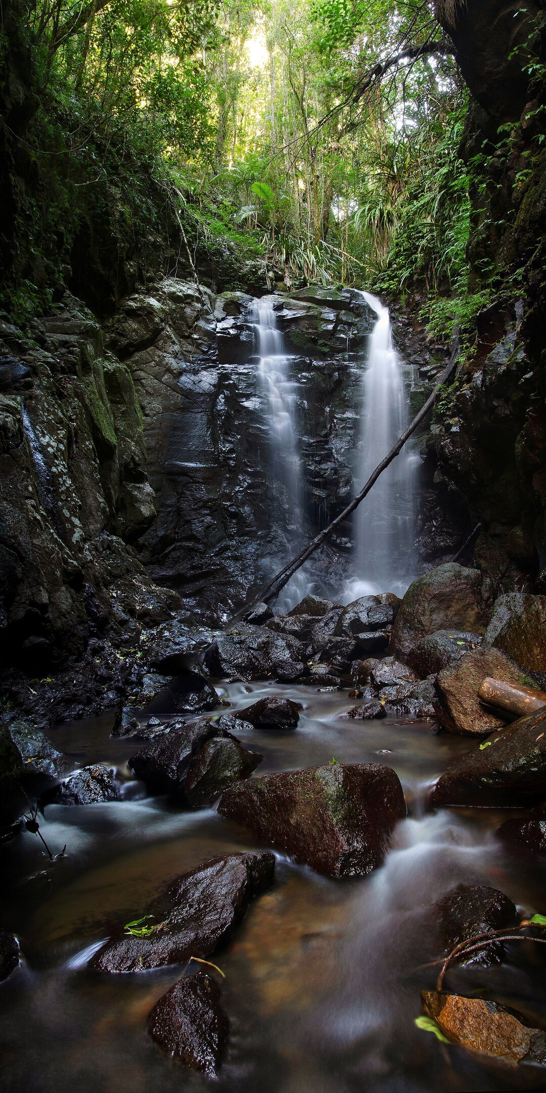 Box Log Falls, Vertical Panoramic Canvas Wall Print - Etsy