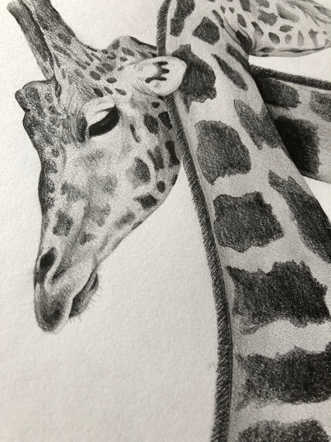 GIRAFFE ARTWORK / ANIMAL Drawing Graphite Sketch / Giraffe | Etsy