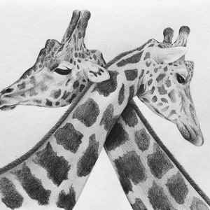 GIRAFFE ARTWORK / ANIMAL Drawing Graphite Sketch / Giraffe Wall Art ...
