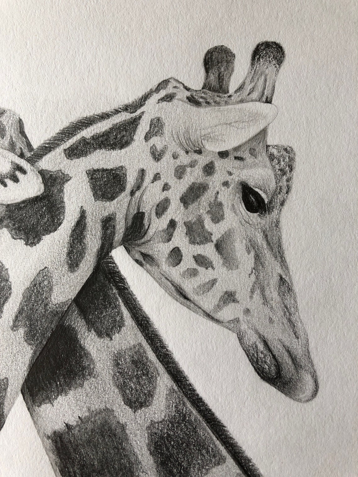 GIRAFFE ARTWORK / ANIMAL Drawing Graphite Sketch / Giraffe Wall Art ...