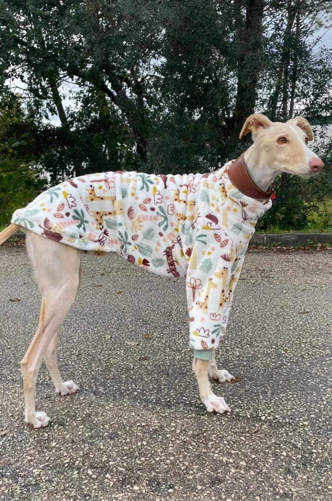 Dog Sweater -fleece Sweater for All Dogs , All Sizes - Greyhound ...