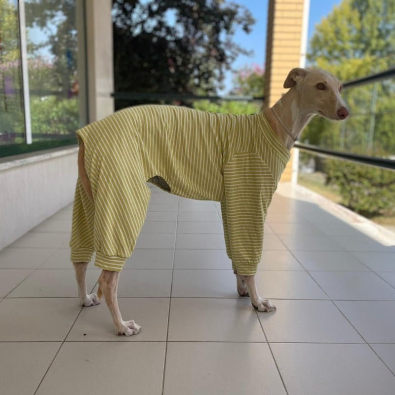 Afghan Pajama - Etsy