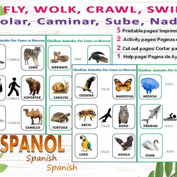 Spanish Activity Worksheets - Etsy