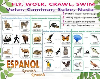 Animal Movement swim Walk & Fly Zoology Printable - Etsy