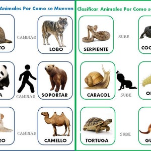 Spanish-sorting Game- How Animals Move, Preschool Printable, Homeschool ...