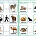 Spanish-sorting Game- How Animals Move, Preschool Printable, Homeschool ...