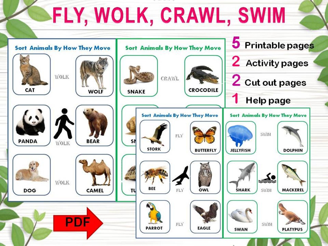 Sorting Game- How Animals Move, Preschool Printable, Homeschool ...