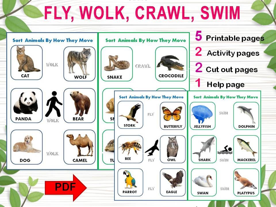 Sorting Game- How Animals Move, Preschool Printable, Homeschool ...
