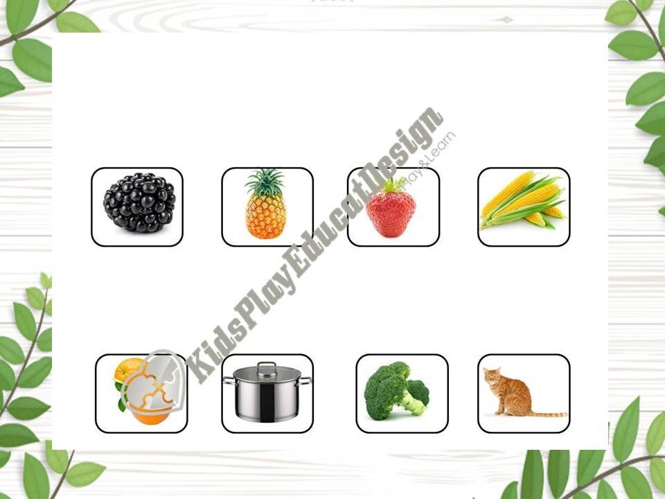 ANIMALS and OBJECTS Pattern Matching Game, Montessori Homeschoole ...