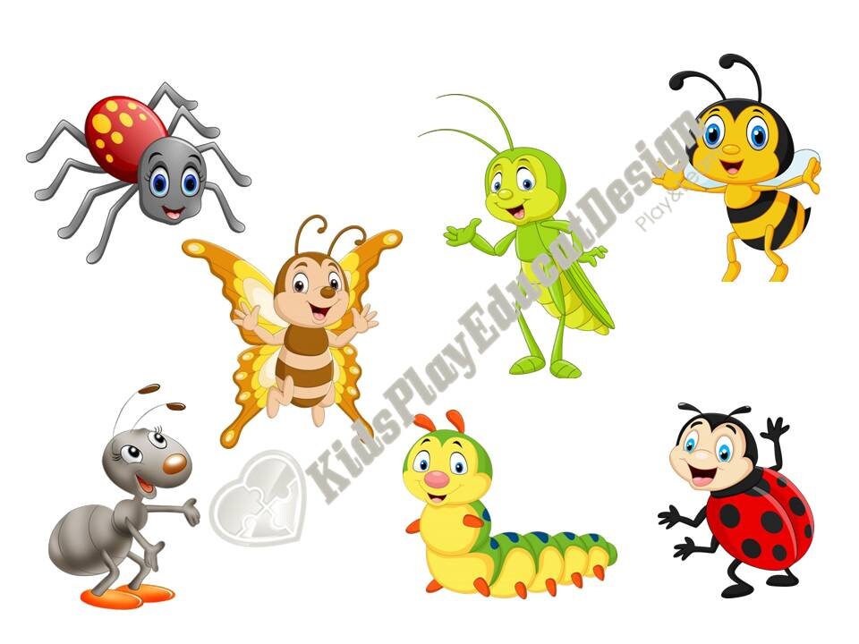 INSECTS, FARM, SEA Animals, Set of 3 Species of Animals, Montessori ...