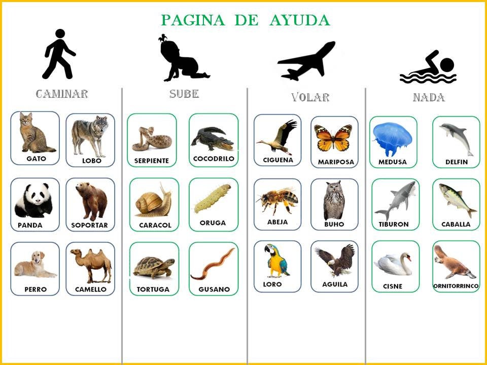 Spanish-sorting Game- How Animals Move, Preschool Printable, Homeschool ...