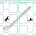 Spanish-sorting Game- How Animals Move, Preschool Printable, Homeschool ...