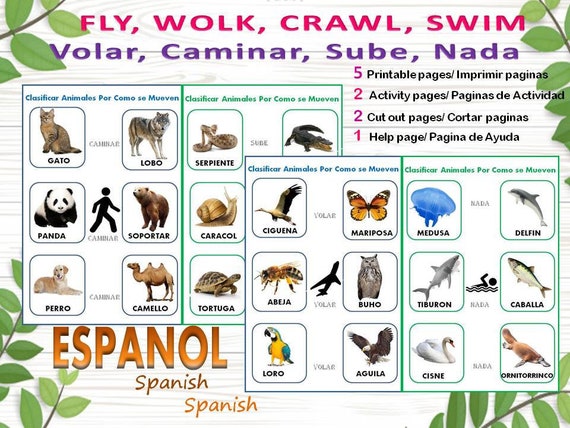 Hojas De Trabajo De Animales En Español 118 Animales Español ELE