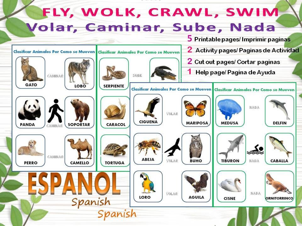 Spanish-sorting Game How Animals Move, Preschool Printable, Homeschool ...