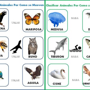 Spanish-sorting Game How Animals Move, Preschool Printable, Homeschool ...