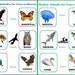 Spanish-sorting Game- How Animals Move, Preschool Printable, Homeschool ...